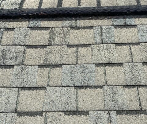 Signs Your Roof Needs Replacement: How to Spot the Warning Signs - Pro ...